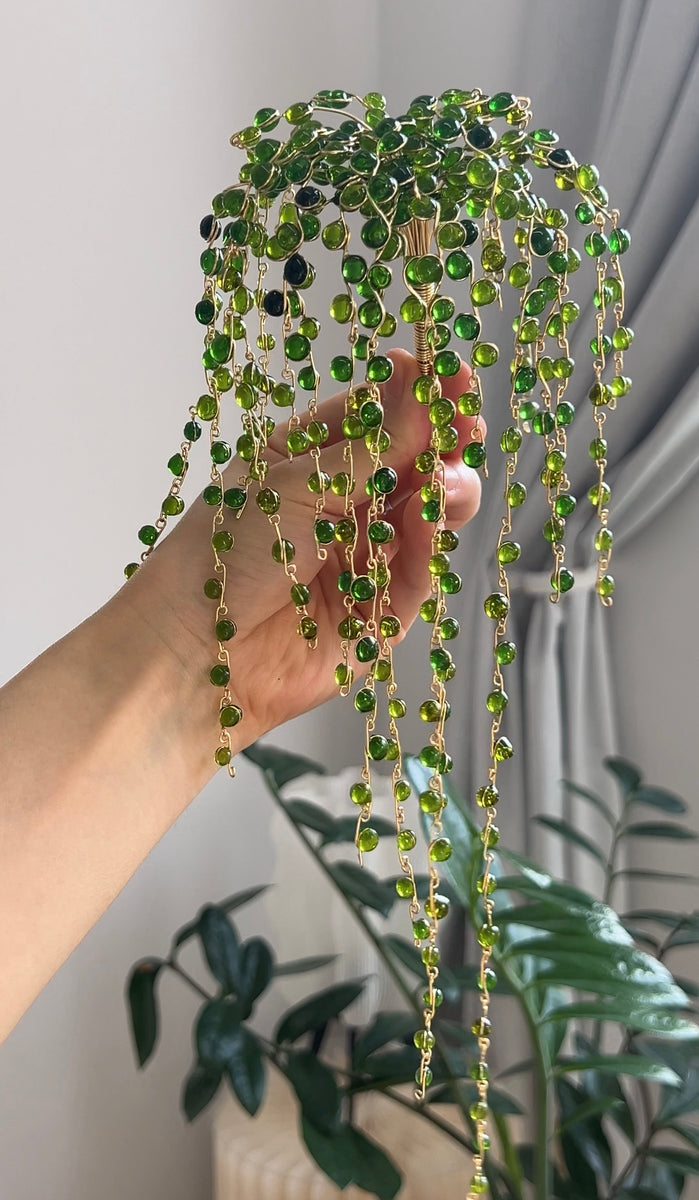 String of Pearls Houseplant Set | PREORDER – STUDIO MUI